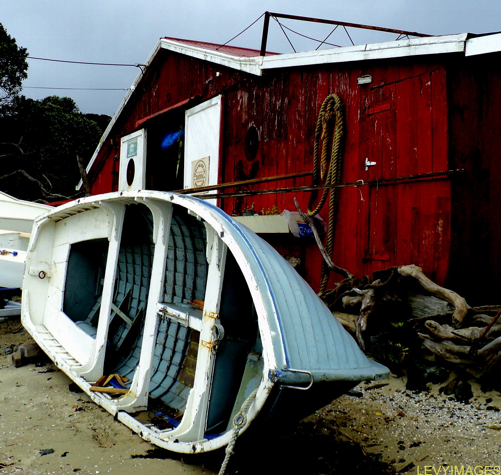 The Flying Tortoise: Junk Rig Sailing Regatta On The Beautiful Mahurangi...