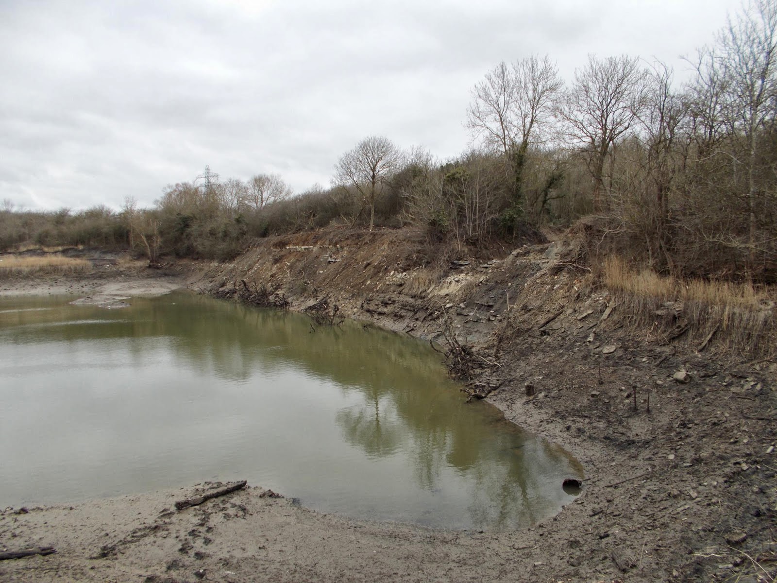 Bishops Bowl Fishery
