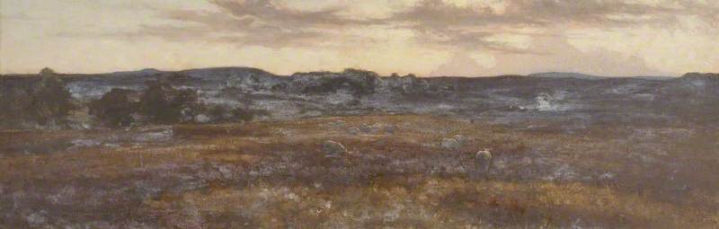 First Known When Lost: Asleep