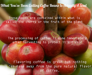 All About Coffee: Processing Coffee - From The Root To The Fruit