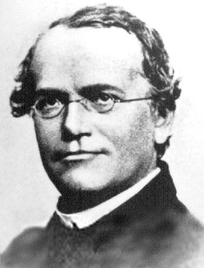 IMAGENES: GREGOR MENDEL