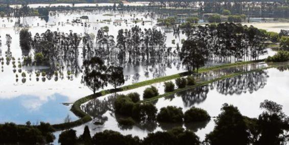 Water Pollution In Bogota(COLOMBIA): Water Pollution In Bogota
