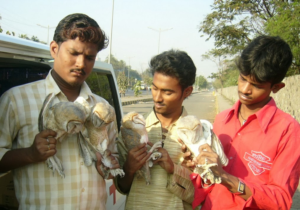 Sunish Subramanian Kunju : Sunish Subramanian Kunju Activities Photographs