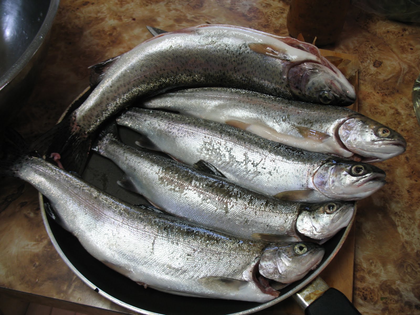 Nature's Gifts: Fresh Trout, Morels and a side of Bannock (François ...