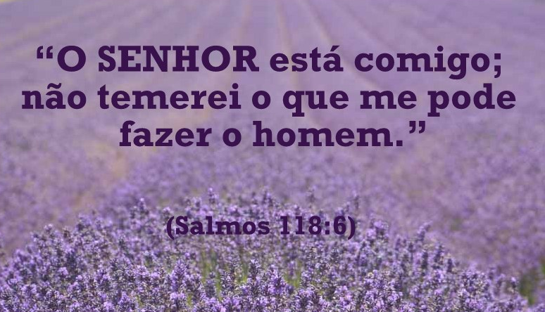 Palavra Eficaz : SALMO 118 Comentários Pr Heber Toth Armí