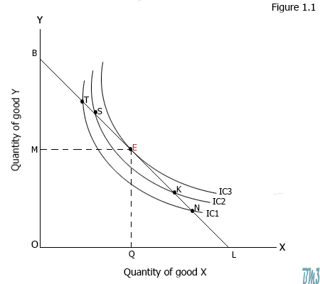 Consumer’s Equilibrium Income, Substitution and Price Effect ...