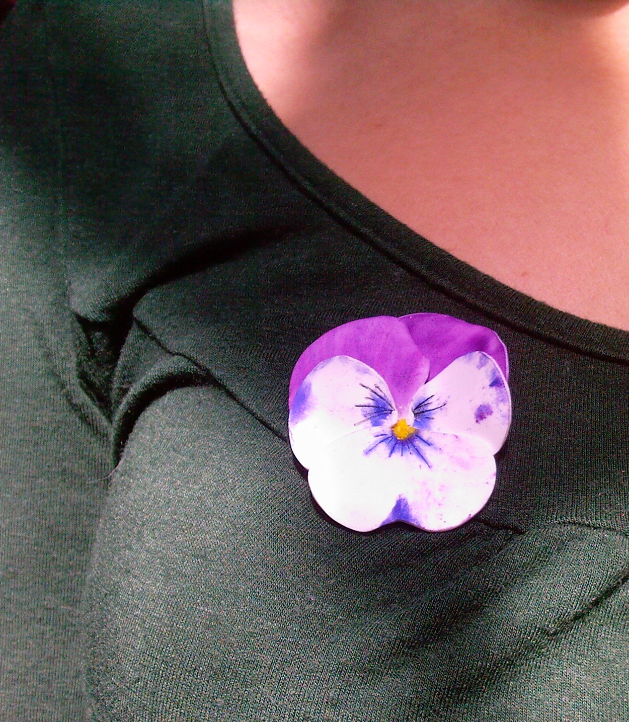 Handmade Creations: Panselute din gradina