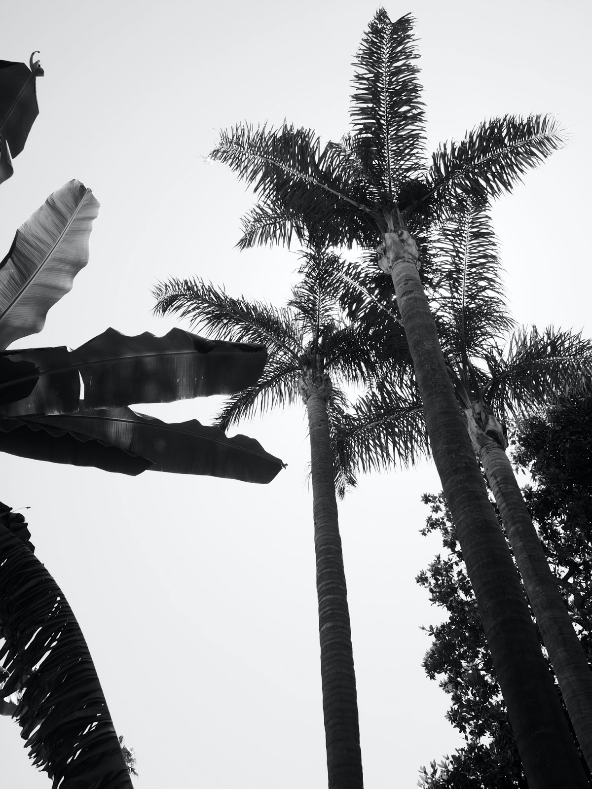 One Fire Beach and Sunset Cocktails, Amalfi | All Things Foxy