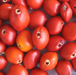 Artesanía y Bisutería Peruana: El Huayruro