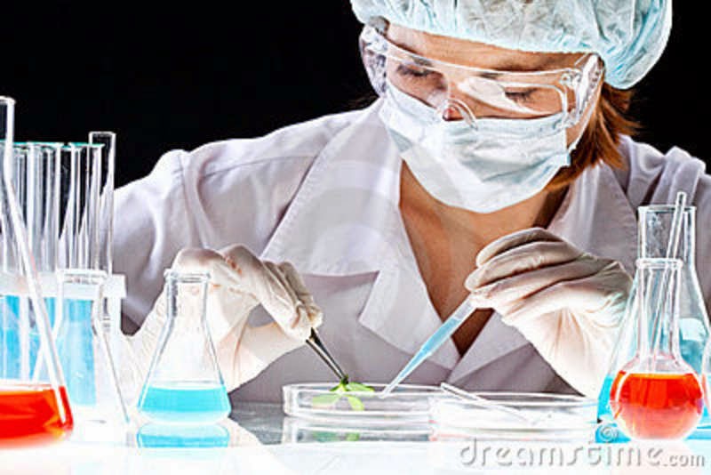 Bioquímica : Bioquímica