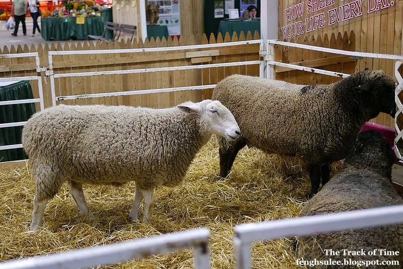 Big E 2014 - Farm-A-Rama | The Track of Time