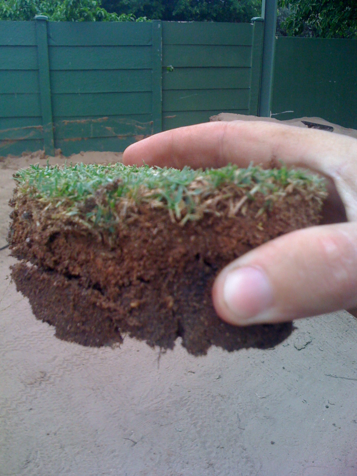 Durban Country Club Golf Course: The Old DCC paspalum greens vs. The ...