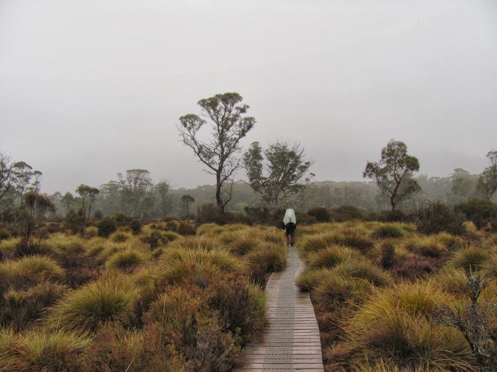 M&M Smith: TASMANIA : DAY 6 : OVERLAND TRACK : Windy Ridge Hut to Lake ...