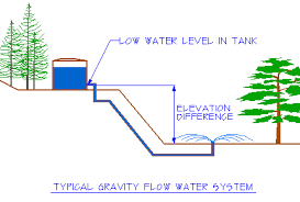 Reforestation and the Medicinal Uses of Trees -Liliana Usvat Research ...