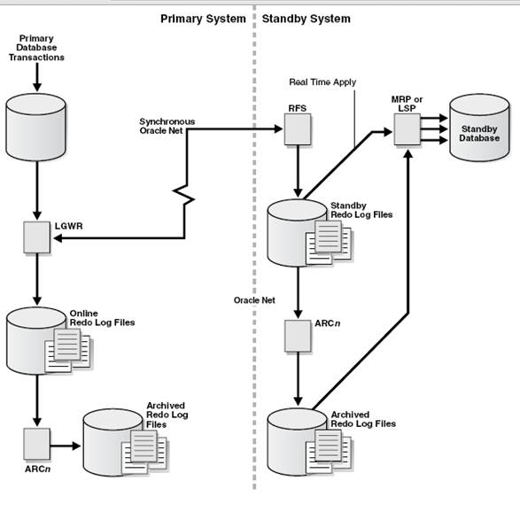 Oracle DBA: Dataguard - Oracle 11g R2