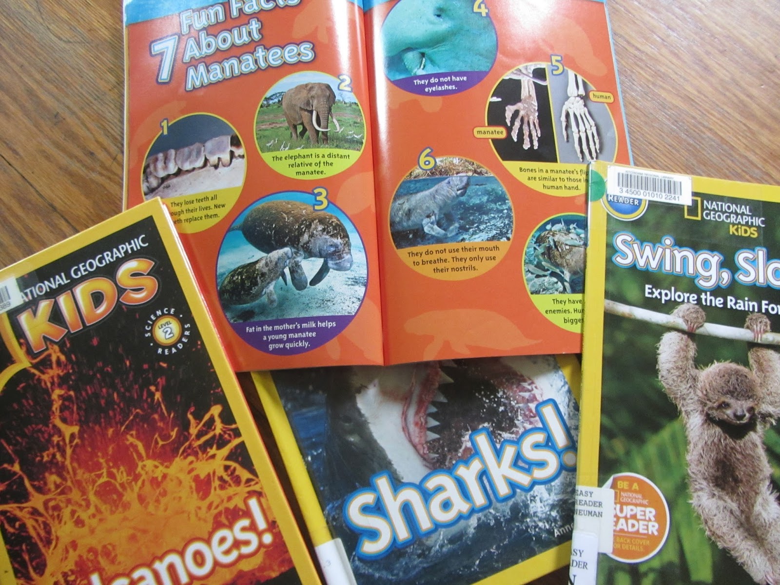 The Unlikely Homeschool: Top Nature Study Series and Field Guides for ...