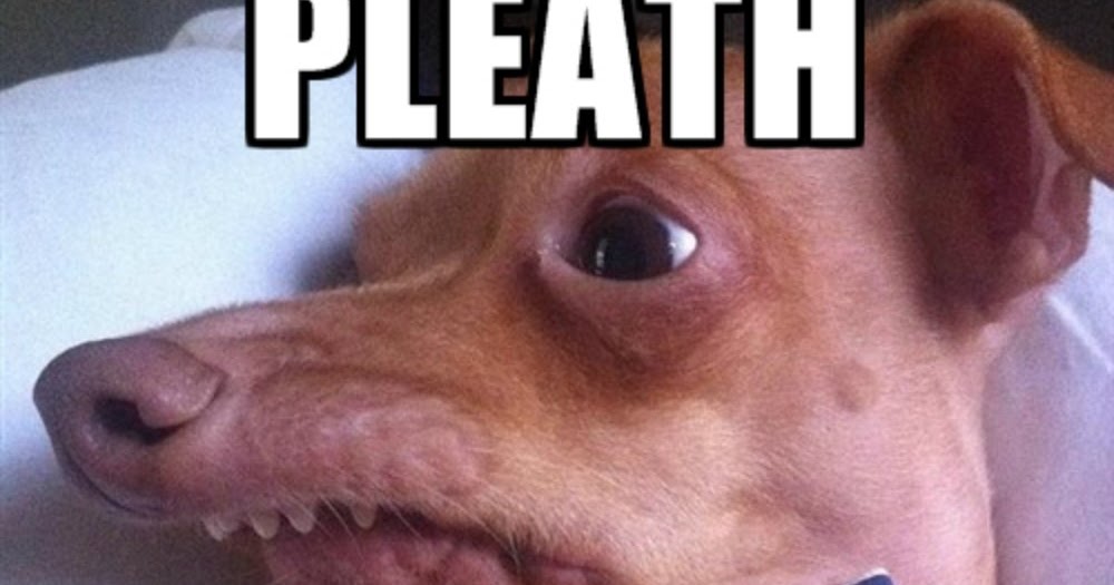 Generic Dialogue—Staaaahp ~ September C. Fawkes - Editor & Writer