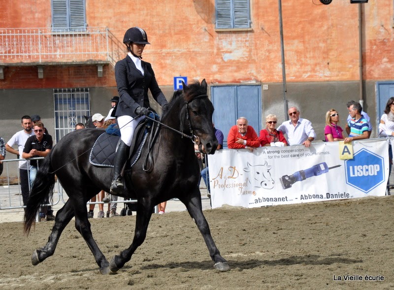 La Vieille écurie: Ubac de Val Mairo 4 posto alla rassegna Merens sez ...