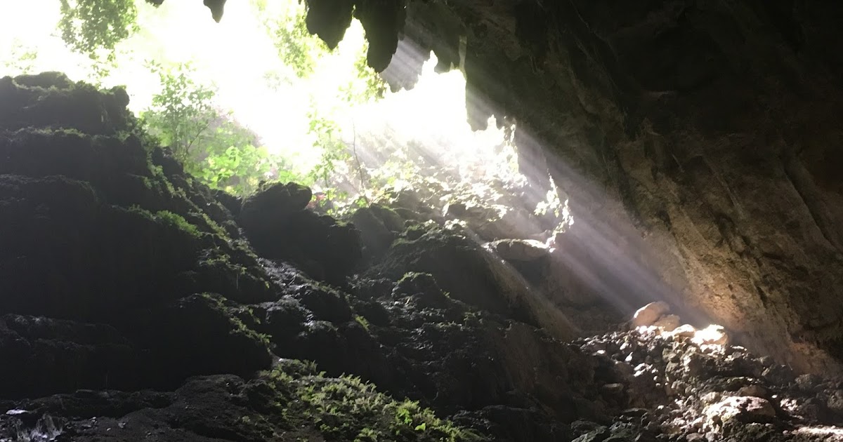 ReedTroyPuertoRicoAdventure: Visiting the Camuy River Cave Park