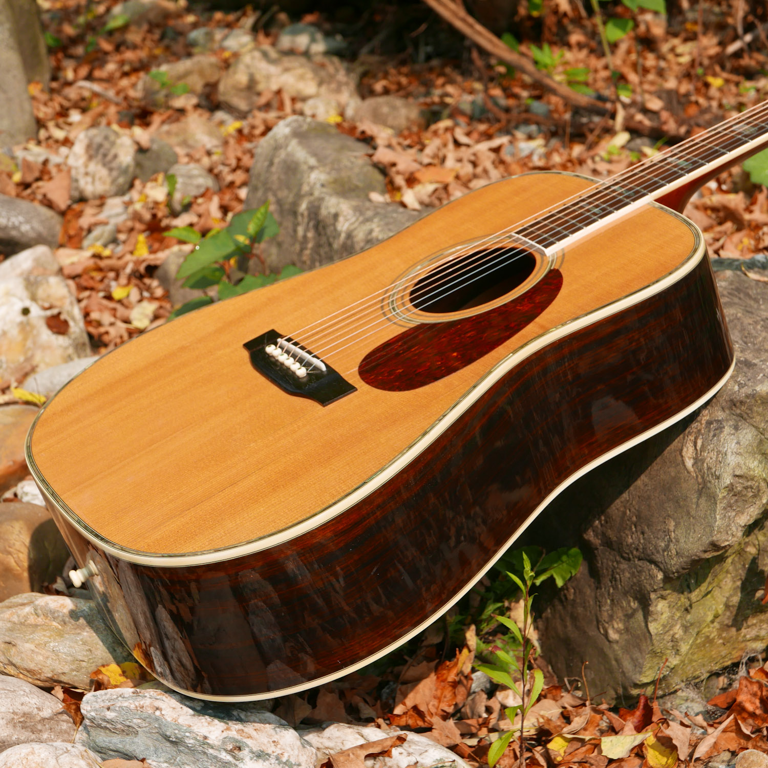 1990s Sigma SDR-41 Dreadnought Guitar