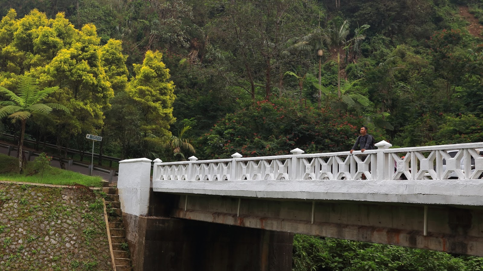 Liburan tahun baru di Kebun Raya Cibodas, Mengunjungi Curug Cibogo dan ...