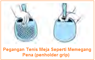 Ukuran Lapangan Tenis Meja, Teknik Pukulan, Cara Memegang Bet, dan ...