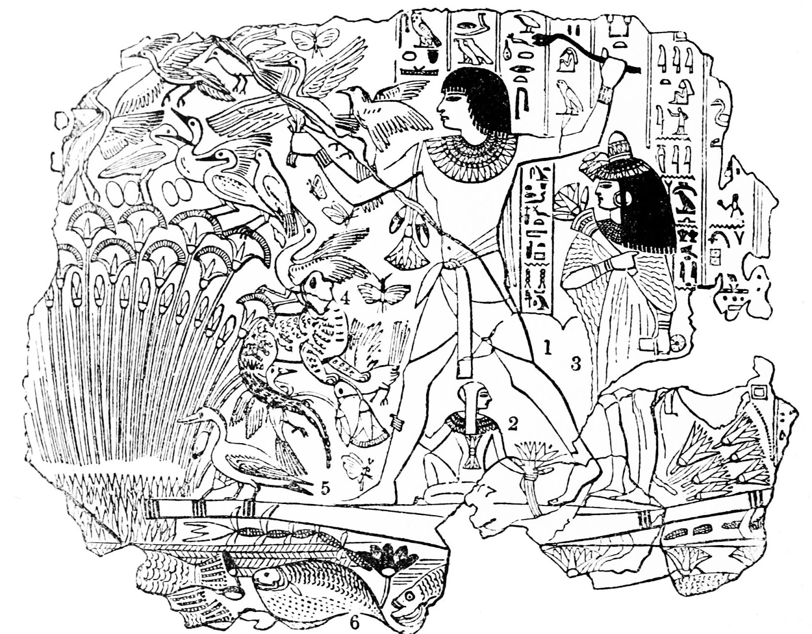 Cristogallary: Fowling Scene-(කුරුළු දඩයම)