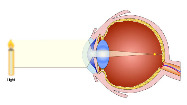 Towson Physics with Sean Lally: Optics - Camera and Eye