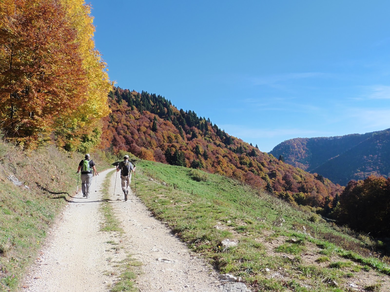 Su strade e sentieri: MONTE GRAPPA: giro delle malghe