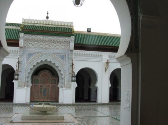 Unusual Glory: Where Would Anyone Want to Go in North Africa?? Fes, Morocco