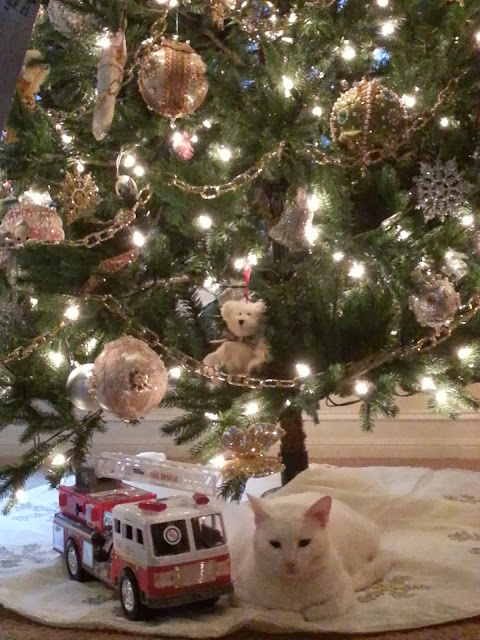 Lindaraxa: Coco's First Christmas Tree