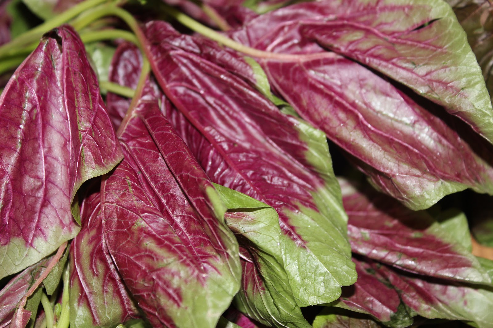 Simple Ingredients: Red Leaves/Amaranth leaves Sambar/Dantina soppu Huli