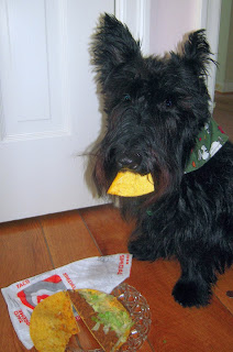 Sweet William The Scot: TACO DAY HURRAY!!!