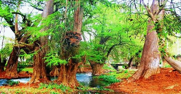 Poza Rica Inn Hotel: Los mejores sitios de Poza Rica, Veracruz