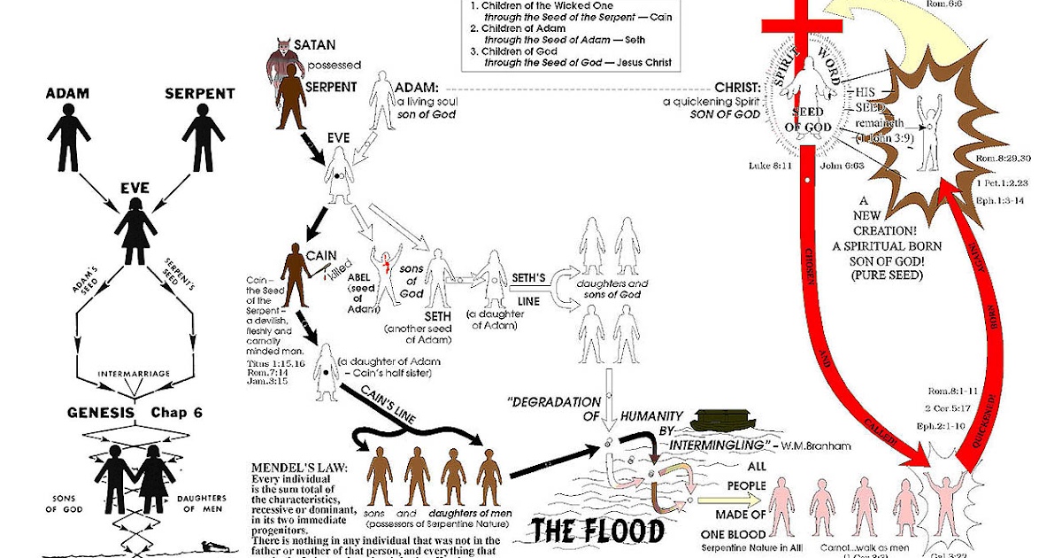 LA VERDAD CON CRISTO: La Simiente de Caín