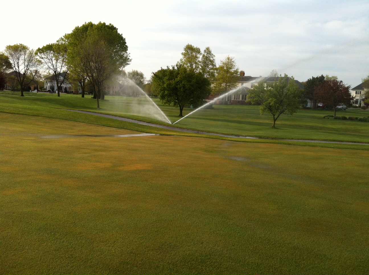 The World of Turf: Drainage and irrigation