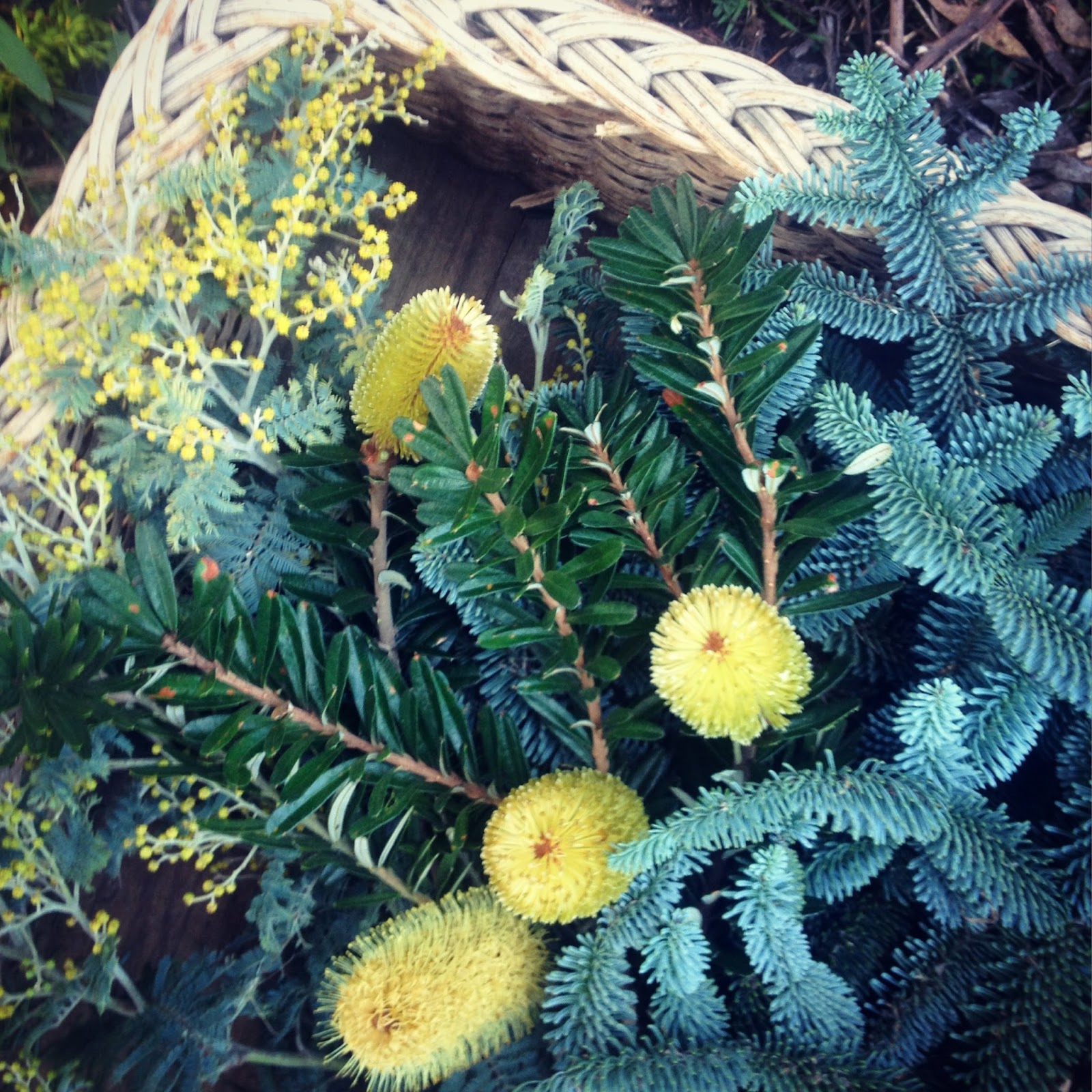 Swallows Nest Farm: 2015