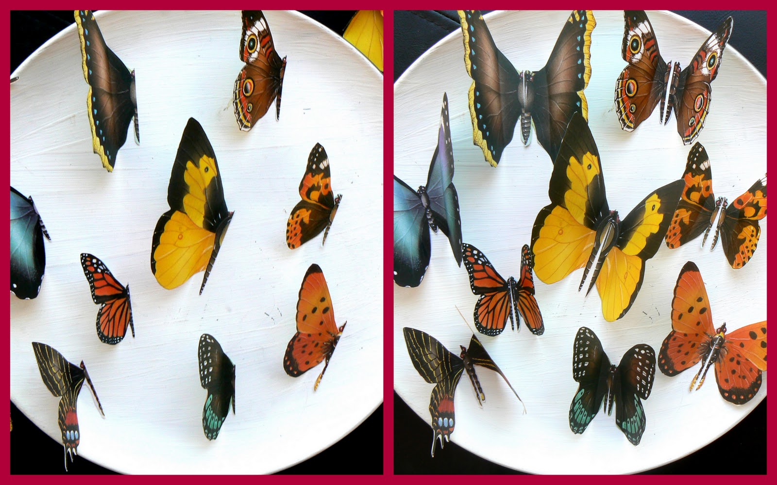 Having Fun at Home: Butterfly Symmetry Matching Game