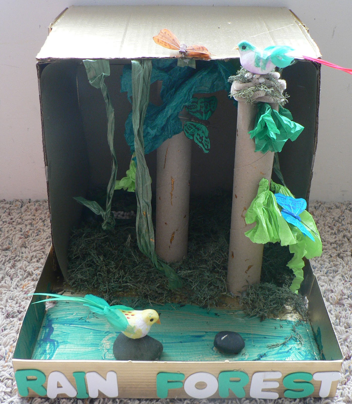 Schooling At Home Happenings: Habitat Dioramas