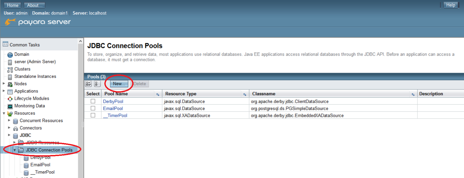Michael Remijan: Payara/GlassFish DataSource JNDI Lookup Reference