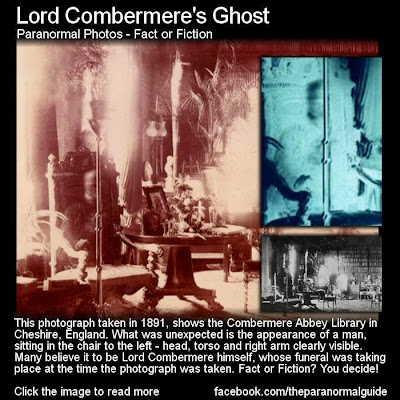 Scared Sheetless: Photo of the Day: Lord Combermere's Ghost