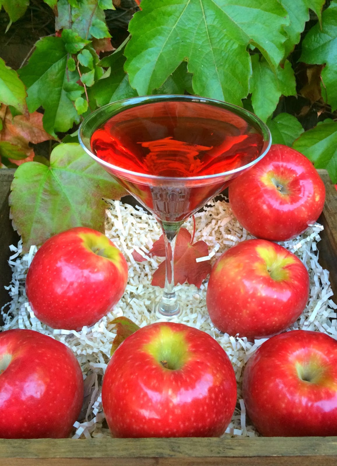 Jac o' lyn Murphy: Kick off Fall with Cranapple-tinis