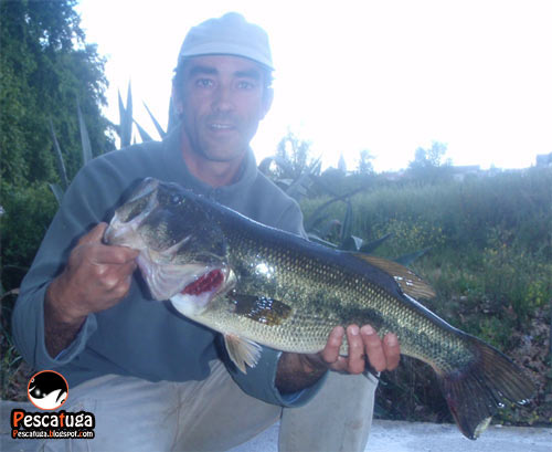 Achigã quase record ~ Pescatugapescatuga