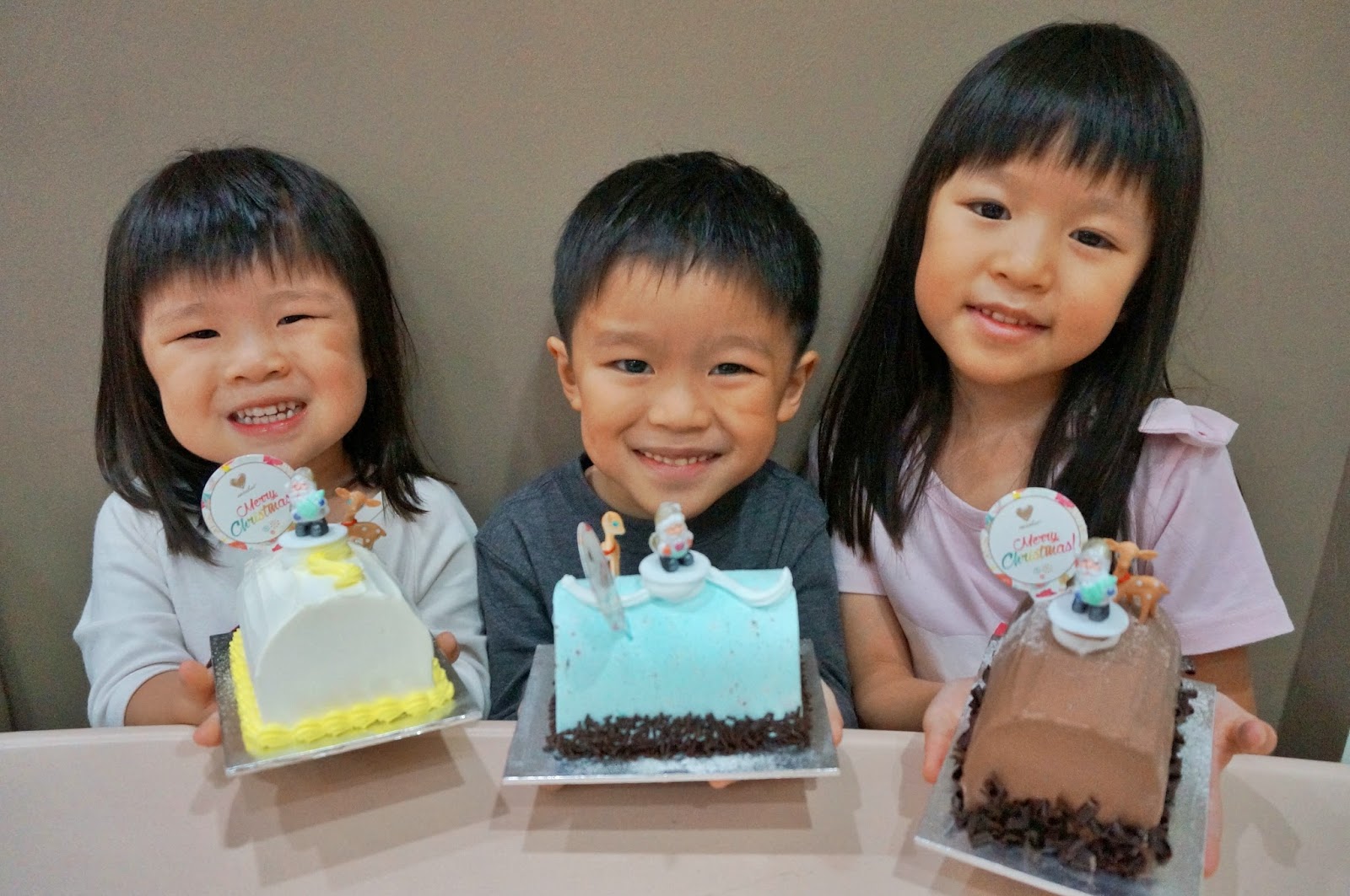 Emicakes - Log Cake Giveaway!