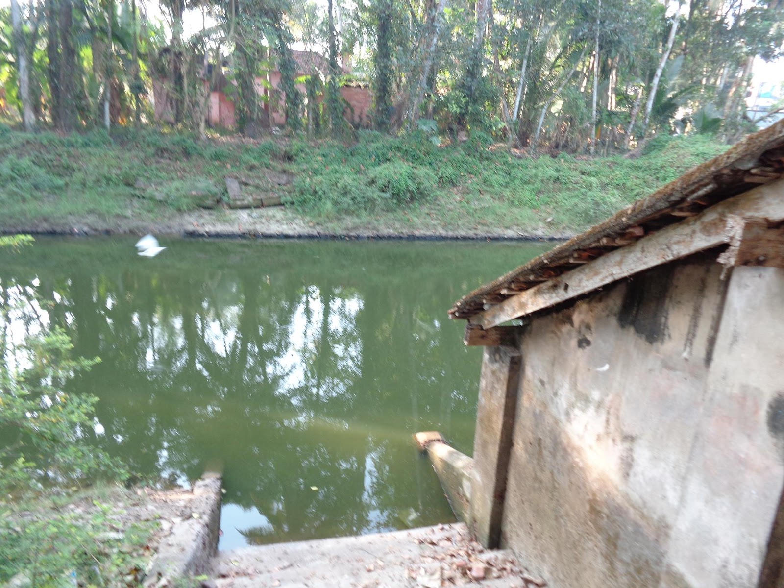 kulam - philippin news collections