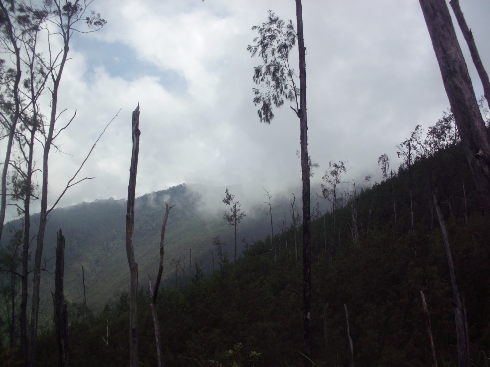 Pariwisata Luwuk, Banggai, Sulawesi Tengah | GUDANG INFORMASI