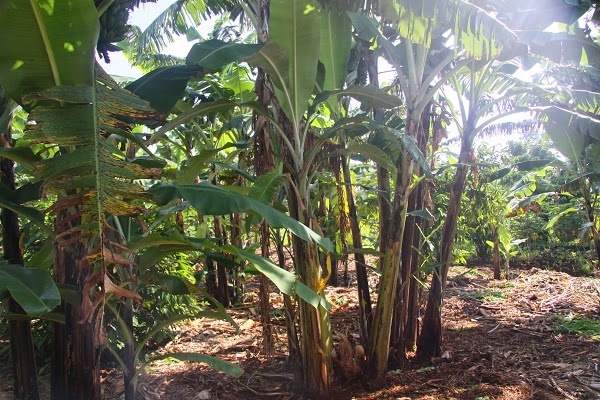 Not WAITING Anymore: May 2014