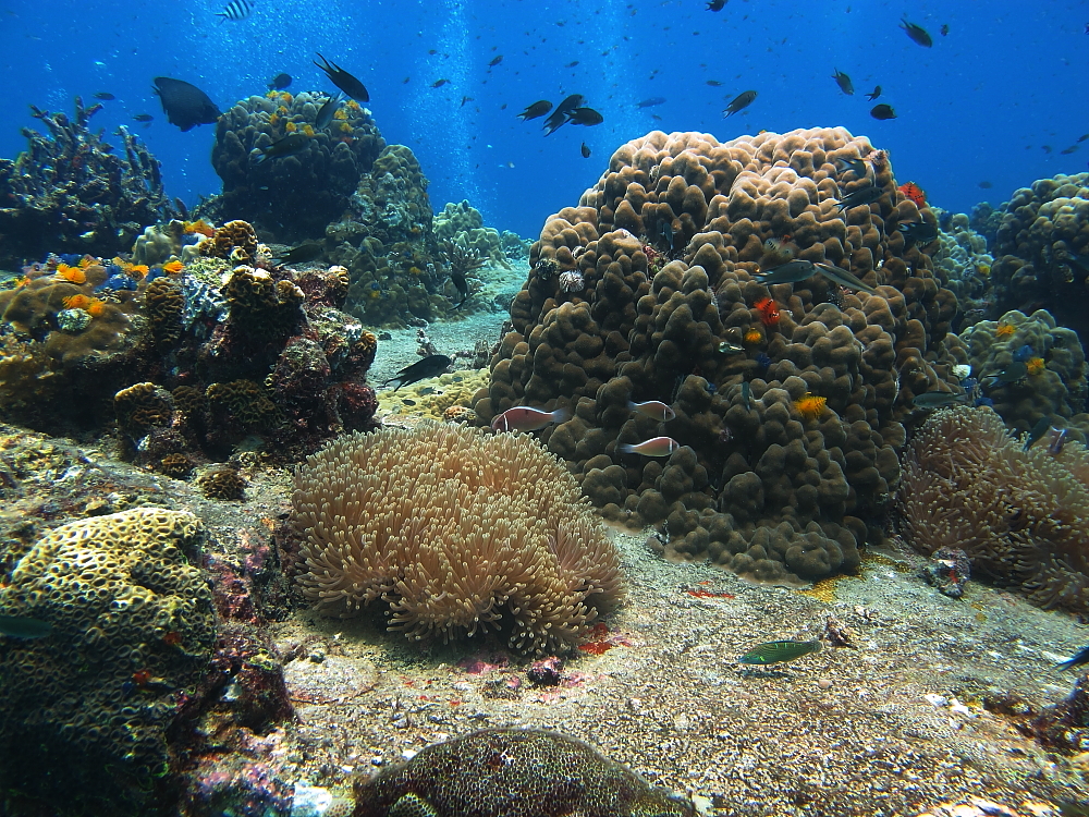 One-way: El fons del mar marítim d'aquesta illa!!!
