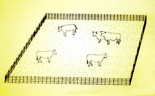 Sistemas de pastoreo