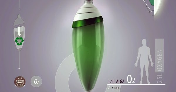 The future of street lights ALGAE LAMPS